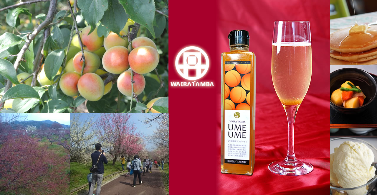 WAIRA TAMBA Corporation -WAIRA TAMBA- ｜ From Kyoto・Tamba to dining table